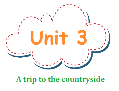 Unit 3 - Tiếng Anh 9