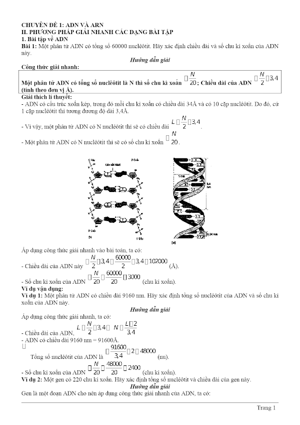 Ôn tập: Chuyên đề về ADN và ARN (Sinh Học 12)