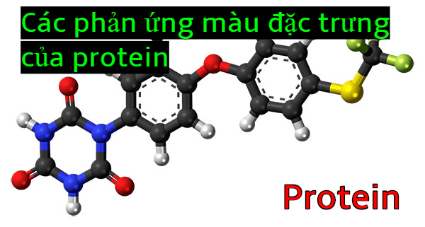 Quá trình phản ứng giữa hno3 protein và ứng dụng của nó trong lĩnh vực ...